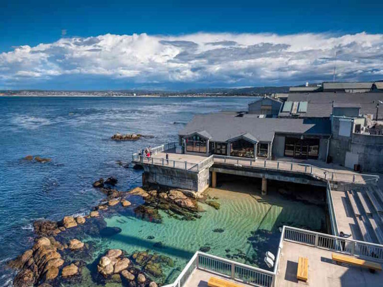What to See and Things to Do in Monterey Bay Aquarium California